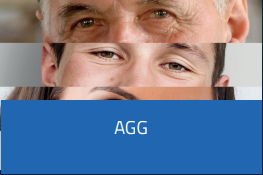 Web Based Training – Denequa